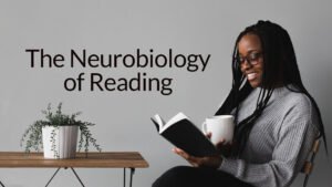 The Neurobiology of Reading - HappyNeuron Pro - Blog
