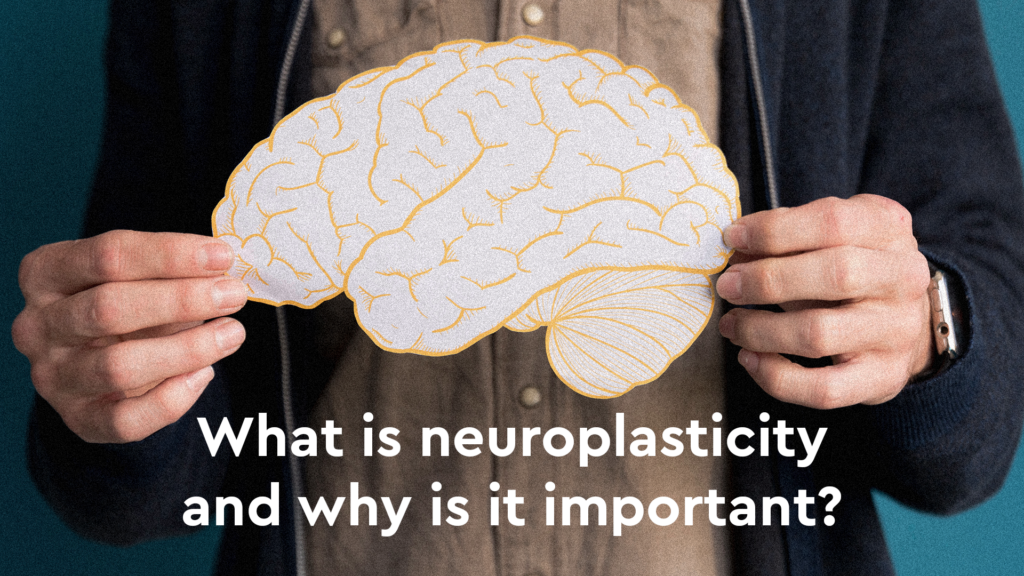 What Are The Advantages of Using HappyNeuron Pro? - HappyNeuron Pro - Blog
