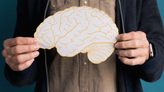 What is Neuroplasticity, and why is it important? - HappyNeuron Pro - Blog